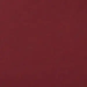 Paris Texas Patent Leather Lidia Mules 105 - Burgundy