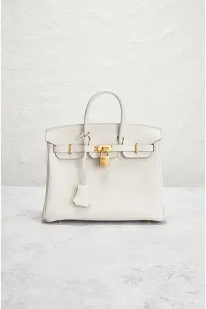 Hermès Togo Birkin 25 Handbag