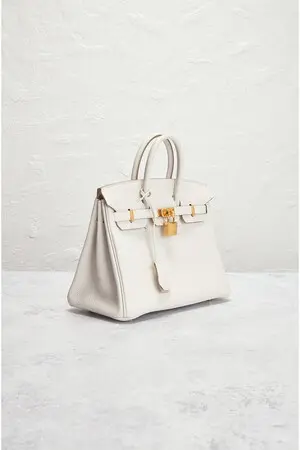Hermès Togo Birkin 25 Handbag