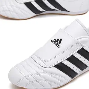Adidas Taekwondo Sneaker
