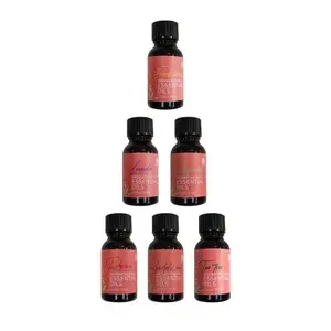 PURSONIC 6 Pack Of Aromatherapy Essential Oils - Multicolor