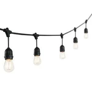 JONATHAN Y 15-light Indoor/outdoor Rustic Industrial Led S14 Edison Buld String Lights - Black