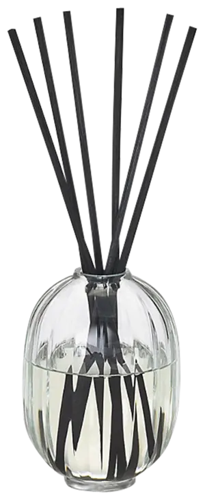 DIPTYQUE Roses Reed Diffuser And Refill Set