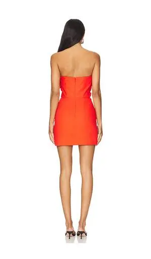 Nbd Riya Mini Dress