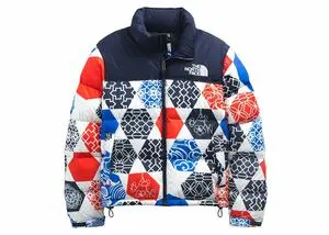 The North Face Printed 1996 Retro Nuptse Jacket Blue Ic Geo Print