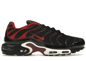 Nike Max Plus Sneakers