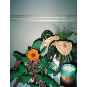 DISCOTHEQUE Hacienda Wax Scented Candle