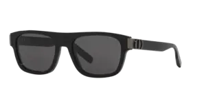 Dior Cd Icon S3i Sunglasses - Grey