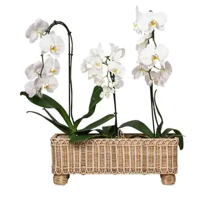 JULISKA Provence Rattan Rectangular Planter