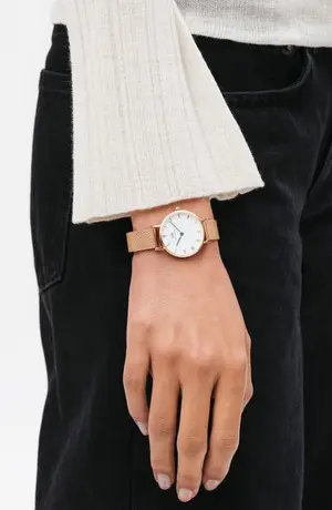 DANIEL WELLINGTON Petite Mesh Strap Watch