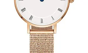 DANIEL WELLINGTON Petite Mesh Strap Watch