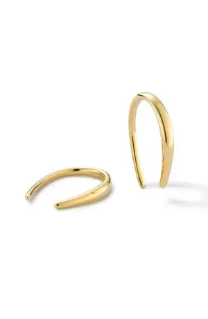 ANA LUISA Hook Earrings - Gold
