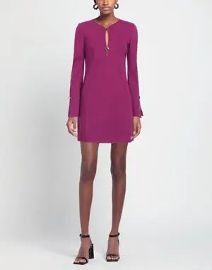 Pinko Mini Flared Dress With Metal Appliqués - Purple