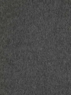 Loro Piana Grand Unita Scarf