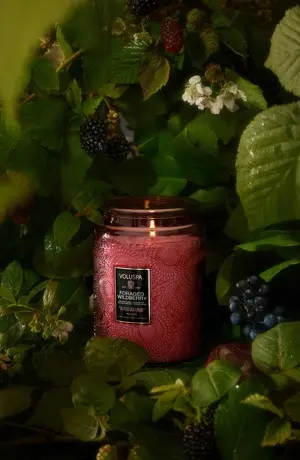 Voluspa Large Jar Candle