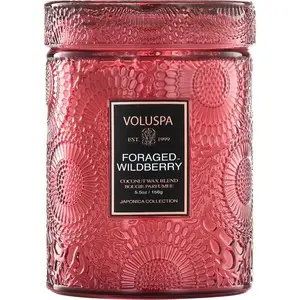 Voluspa Small Jar Candle - Foraged Wildberry