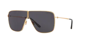 TOM FORD Tom Ford Huxley Sunglasses Grey