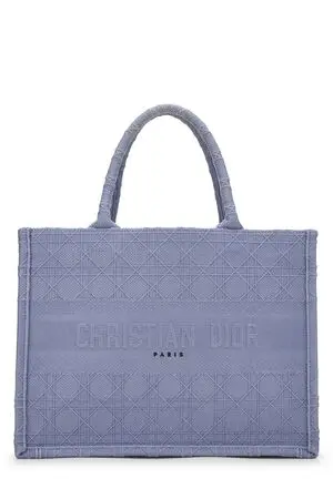 Dior Book Tote - Blue