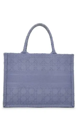 Dior Book Tote - Blue