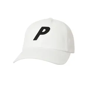 PALACE P 6-panel Flectarn Cap