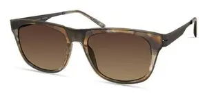 MODO 474 Sunglasses - Grey Green Tortoise