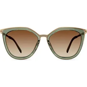 MODO 463 Sunglasses - Dark Forest