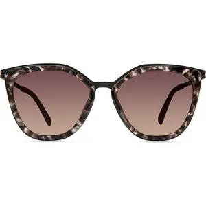 MODO Modo 463 Sunglasses Grey Tortoise