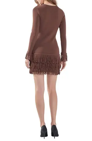 Endless Rose Loop Fringe Mini Dress
