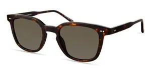 MODO 800 Sunglasses - Tortoise