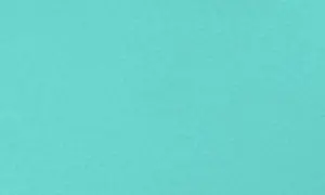 Trina Turk Monaco Side Tab Hipster Bikini Bottom - Sky