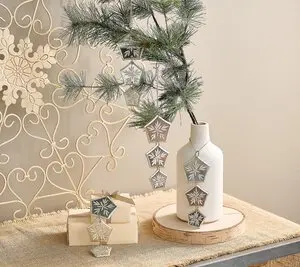 MARTHA STEWART 4 Etched Glass Snowflake Ornaments - One-color