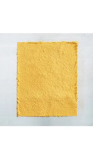 MOON JUICE Cordyceps Powder