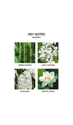 NEST NEW YORK Bamboo Reed Diffuser