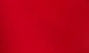 French Connection Azra Pleated Twill Bermuda Shorts