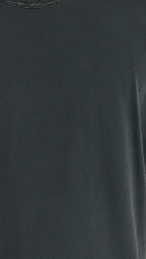Citizens Of Humanity Box Tee - Charred Cedar