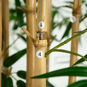 NEARLY NATURAL 9' Artificial Bamboo Tree With Real Bamboo Trunks