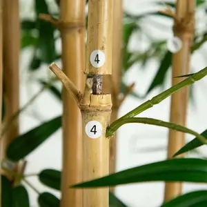 NEARLY NATURAL 10' Artificial Bamboo Tree With Real Bamboo Trunks