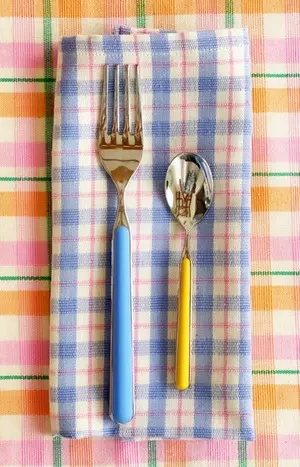 ARCHIVE NEW YORK Handwoven Colorful Plaid Cotton Napkins