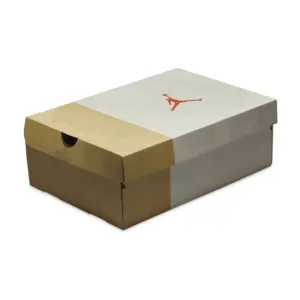 JORDAN Air 3 Retro Tex "desert Camo" Shoes