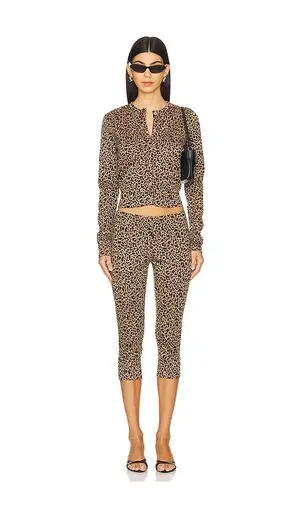 Lioness X Cardi