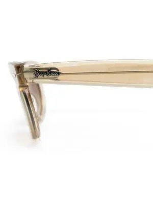 Ray-ban Wayfarer Oval-frame Sunglasses
