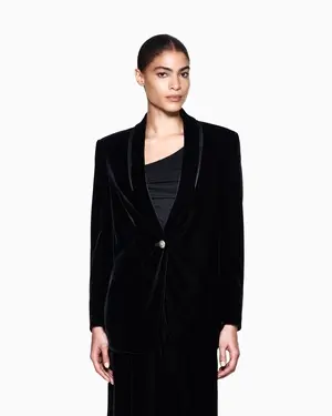 Giorgio Armani Velvet Single-breasted Jacket