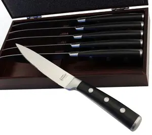 BERGHOFF Classico 6-piece Steak Knife Set With Den Case