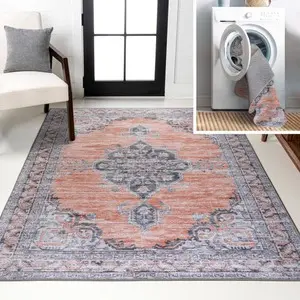 JONATHAN Y Wincer Chenille Cottage Medallion Machine-washable Area Rug - Orange/gray