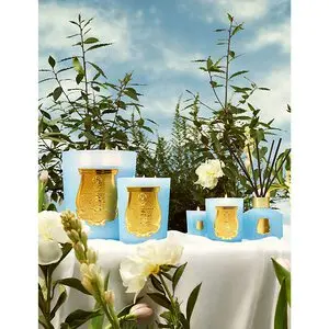 TRUDON X Versailles Cameo Solis Rex Unscented Pillar Candle 15cm