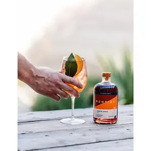 PENTIRE DRINKS Pentire Coastal Spritz Non-alcoholic Aperitif