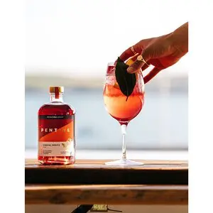 PENTIRE DRINKS Pentire Coastal Spritz Non-alcoholic Aperitif