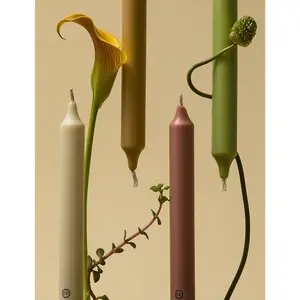 CARRIERE FRERES Taper -scented Set Of Six Wax Candles - Tomato