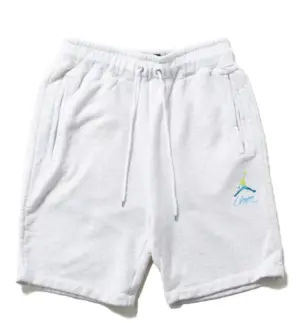 JORDAN Jordan X Union 2.0 FLC Shorts Heather Birch