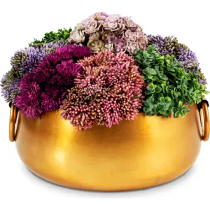 COCOBELLA Alba Sedum Arrangement - Gold